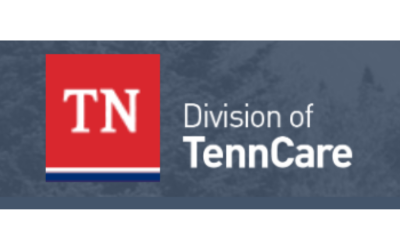 ABA Therapy Services | In Home ABA Therapy by BlueGems