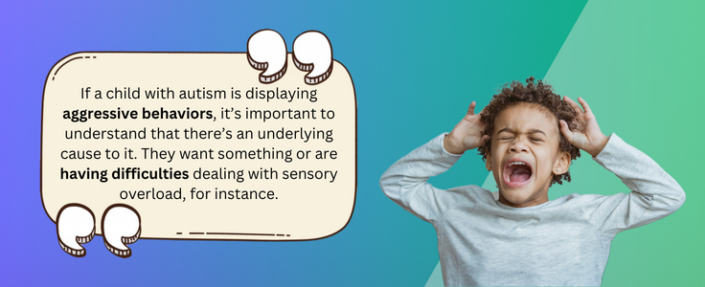 Managing Aggression with ABA