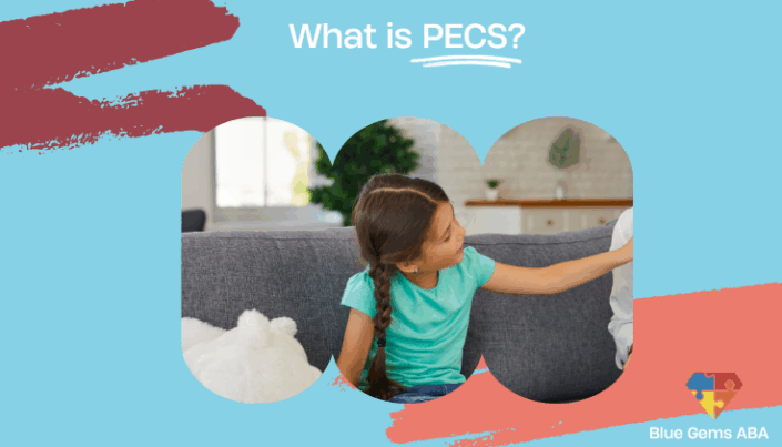 What is PECS?