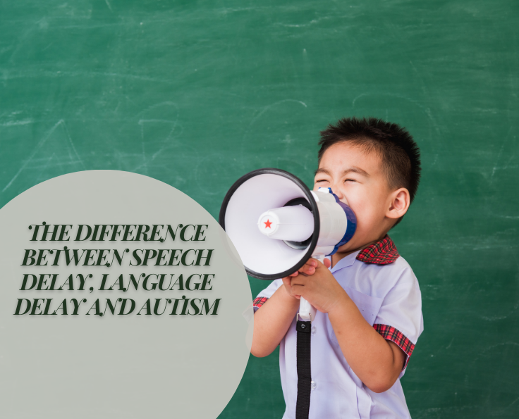 The Difference Between Speech Delay, Language Delay and Autism